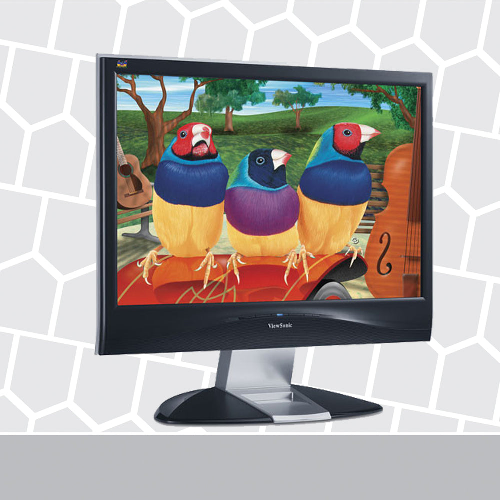 Monitor Viewsonic Widescreen 20" LCD VX2035WM (USADO)